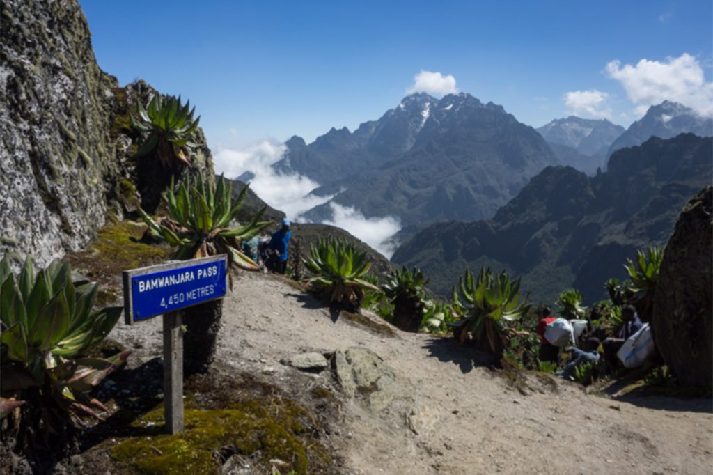 Rwenzori Mountains Challenge: Mount Stanley to Margherita Peak ...