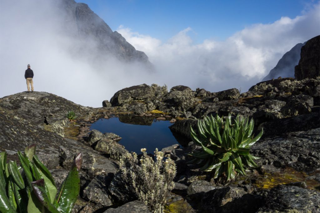 Rwenzori Mountains Challenge: Mount Stanley to Margherita Peak ...